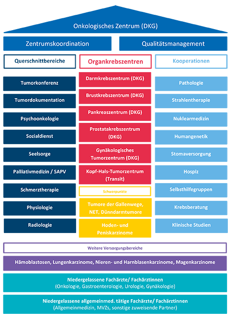 Organisationsstruktur