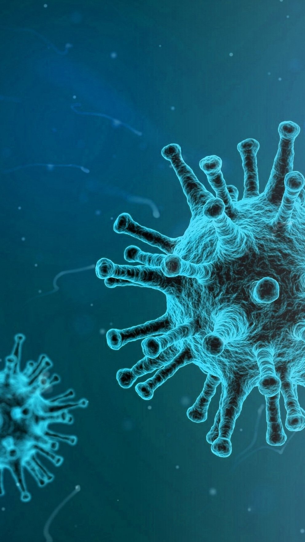 Startseite | Biberach | Sana Kliniken AG